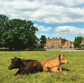 Canon Frome Court – Farming co-operative and intentional community